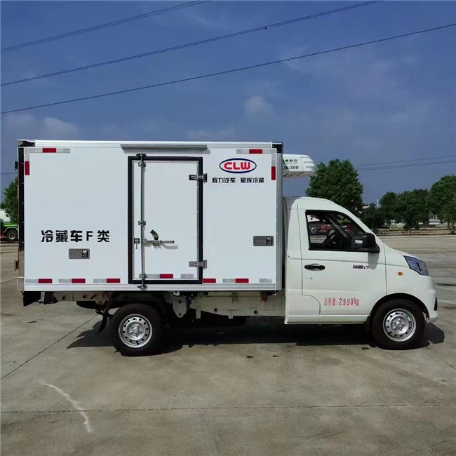 2 Tons Refrigerated Truck Foton Gasoline Fuel Type Refrigerated Freezer Van